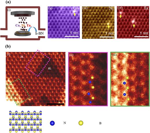 Atomic Level Defect Modulation And Characterization Methods In 2d