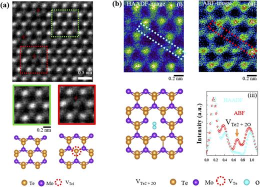 Atomic-level defect modulation and characterization methods in 2D ...
