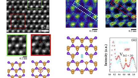 Atomic-level defect modulation and characterization methods in 2D ...