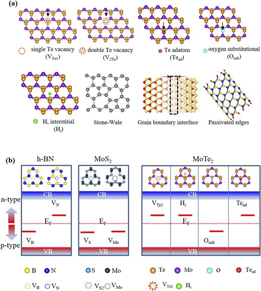 Atomic-level defect modulation and characterization methods in 2D ...