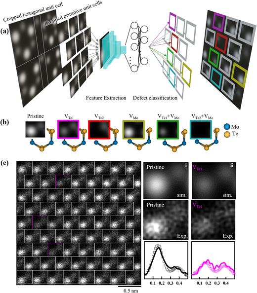Atomic-level defect modulation and characterization methods in 2D ...