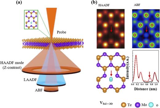 Atomic-level defect modulation and characterization methods in 2D ...
