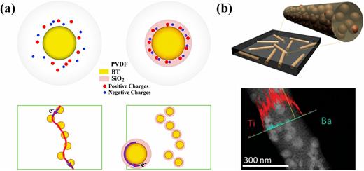 Ferroelectric polymers and their nanocomposites for dielectric energy ...