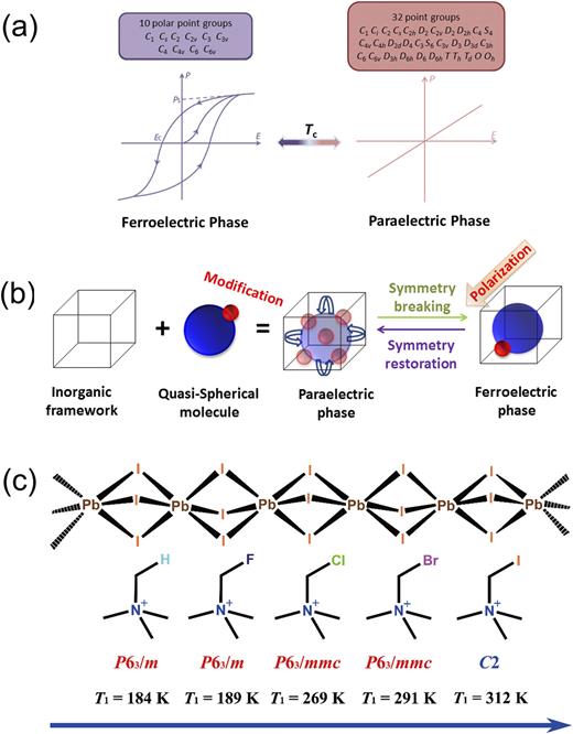 Hybrid organic–inorganic perovskite ferroelectrics bring light to ...