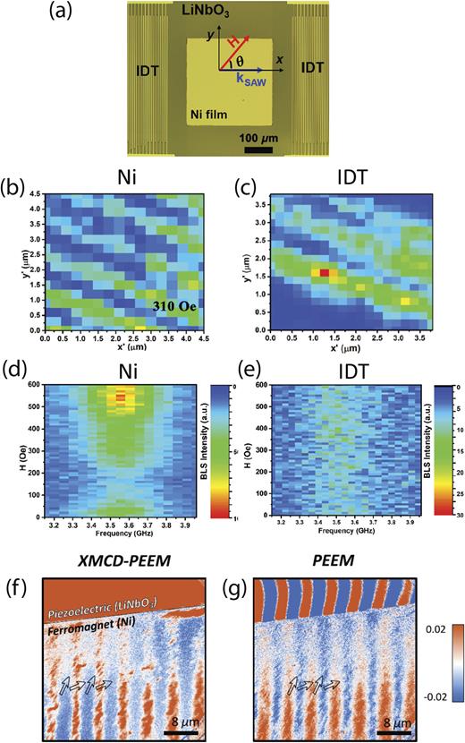 Advances in coherent coupling between magnons and acoustic phonons ...