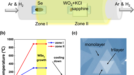 High-performance n-type transistors based on CVD-grown large-domain ...