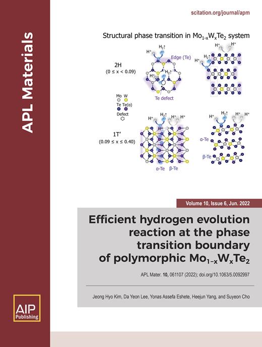 The rise of 2D materials/ferroelectrics for next generation photonics and optoelectronics ...