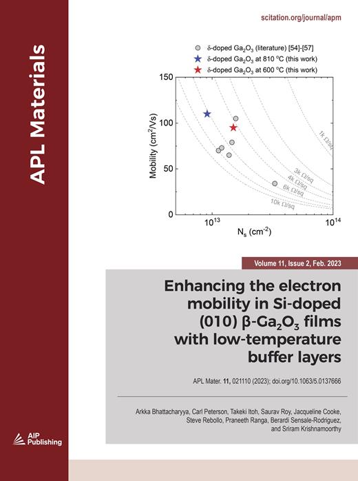 Two-dimensional spin systems in PECVD-grown diamond with tunable density and long coherence for ...
