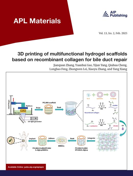 Volume 13 Issue 2 | APL Materials | AIP Publishing