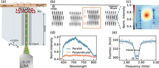 Vector magnetometry using shallow implanted NV centers in diamond with ...