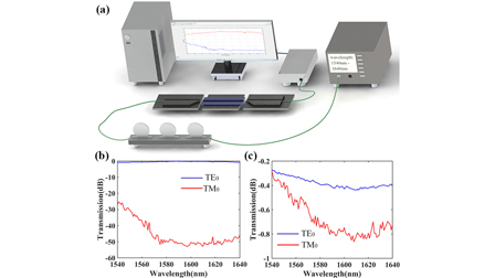 Dual-use on-chip polarizer based on straight silicon nitride platform ...