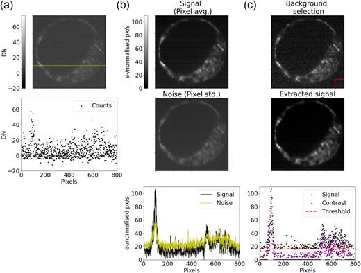 Optimizing image capture for low-light widefield quantitative ...