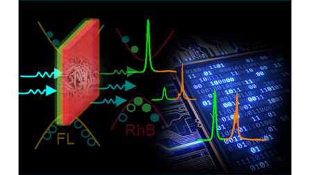 Optically coupled bilayered disordered system for spatially ...