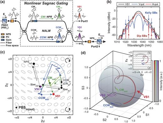 High dynamic range vector soliton mode-locking via nonlinear Sagnac ...