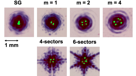 Laguerre–Gaussian laser filamentation in ambient air | APL Photonics ...