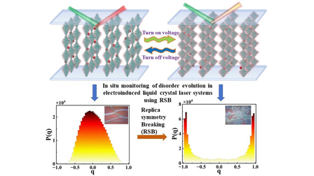 In situ monitoring of disorder evolution in electroinduced liquid ...