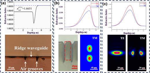 The femtosecond laser fabrication of waveguide structures in ...
