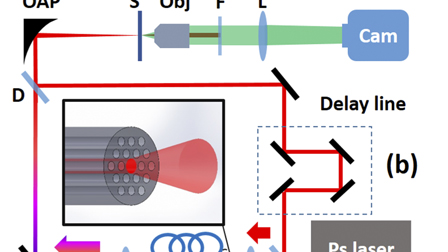 Wide-field coherent anti-Stokes Raman scattering microscopy based on ...