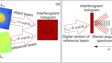 Tutorial: Common path self-referencing digital holographic microscopy ...