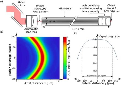 Invited Article: A rigid coherent anti-Stokes Raman scattering ...