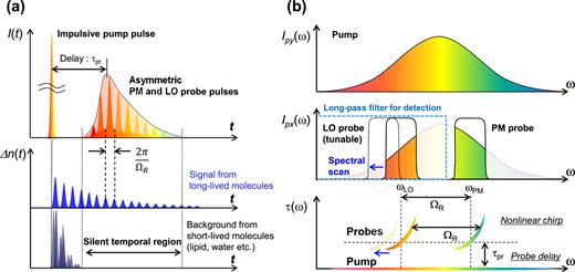 Invited Article: Spectral focusing with asymmetric pulses for high ...