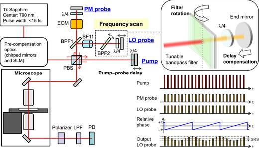 Invited Article: Spectral focusing with asymmetric pulses for high ...
