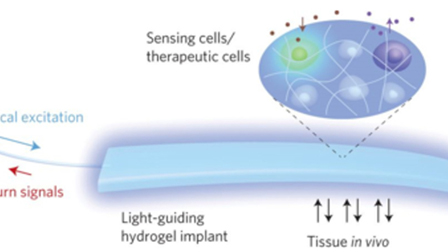 Advances in hydrogel photonics and their applications | APL Photonics ...
