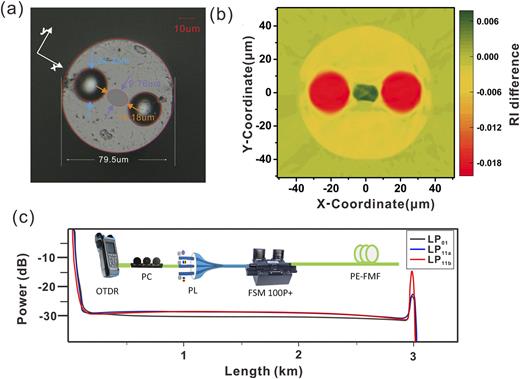 Panda type elliptical core few-mode fiber | APL Photonics | AIP Publishing