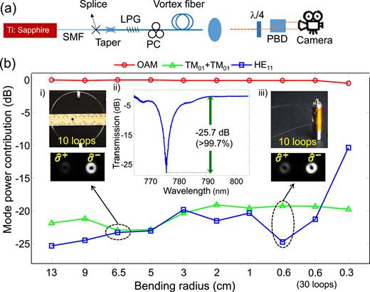 Vortex fibers for STED microscopy | APL Photonics | AIP Publishing