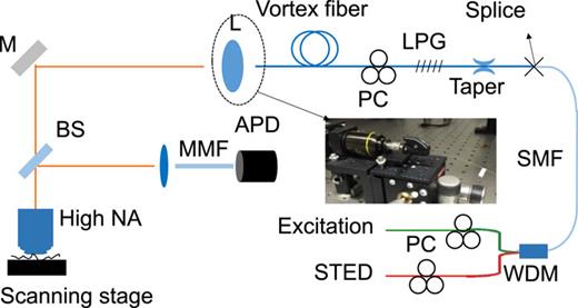Vortex fibers for STED microscopy | APL Photonics | AIP Publishing