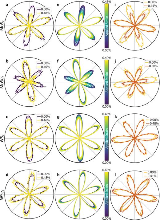 Second harmonic generation in strained transition metal dichalcogenide monolayers: MoS2, MoSe2 ...