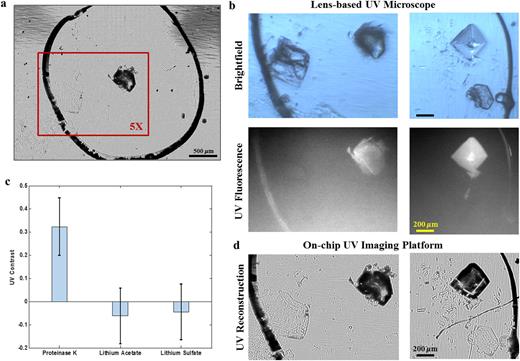 Low-cost and portable UV holographic microscope for high-contrast ...