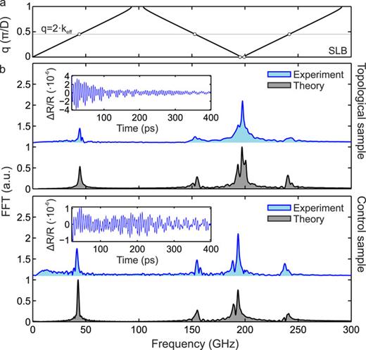 Coherent generation and detection of acoustic phonons in topological ...