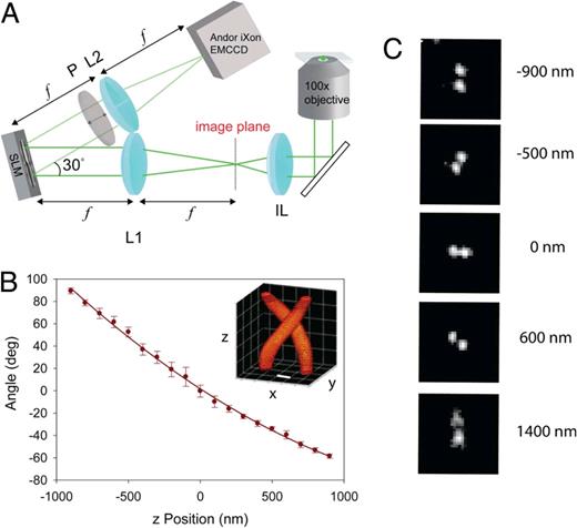 Advances in 3D single particle localization microscopy | APL Photonics ...