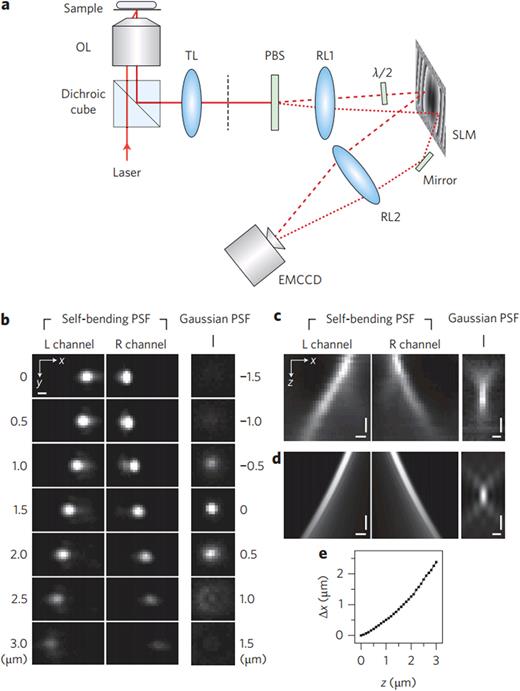Advances in 3D single particle localization microscopy | APL Photonics ...