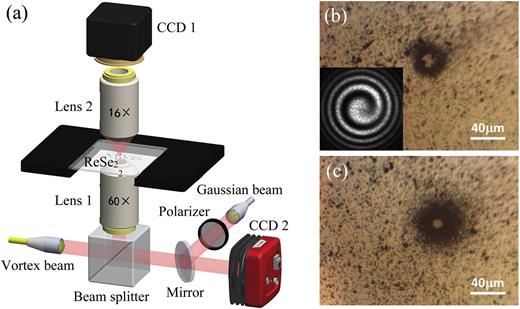 Optical vortex fiber laser based on modulation of transverse modes in ...