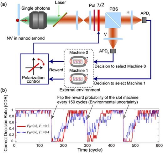 Novel frontier of photonics for data processing—Photonic accelerator ...
