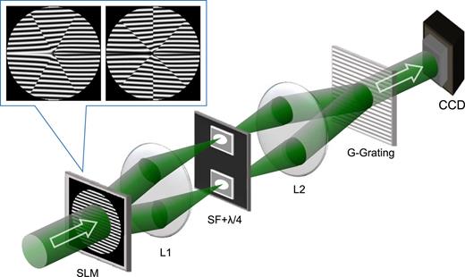 Spin angular momentum density and transverse energy flow of tightly focused kaleidoscope ...
