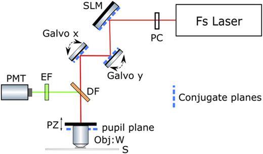 A universal framework for microscope sensorless adaptive optics ...