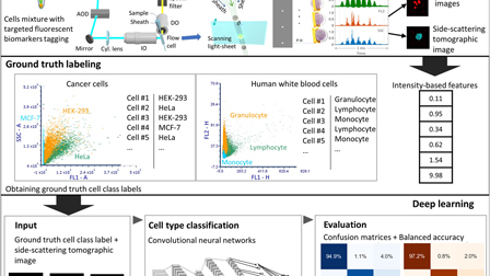 3D side-scattering imaging flow cytometer and convolutional neural ...