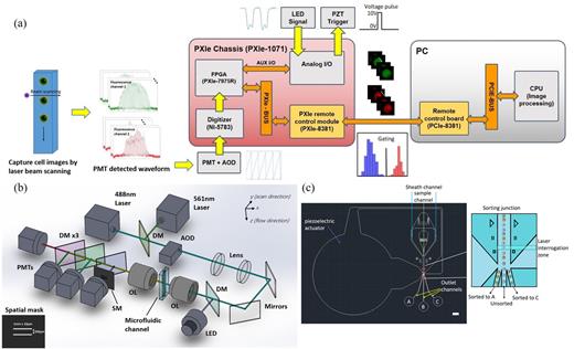 Image-guided cell sorting using fast scanning lasers | APL Photonics ...