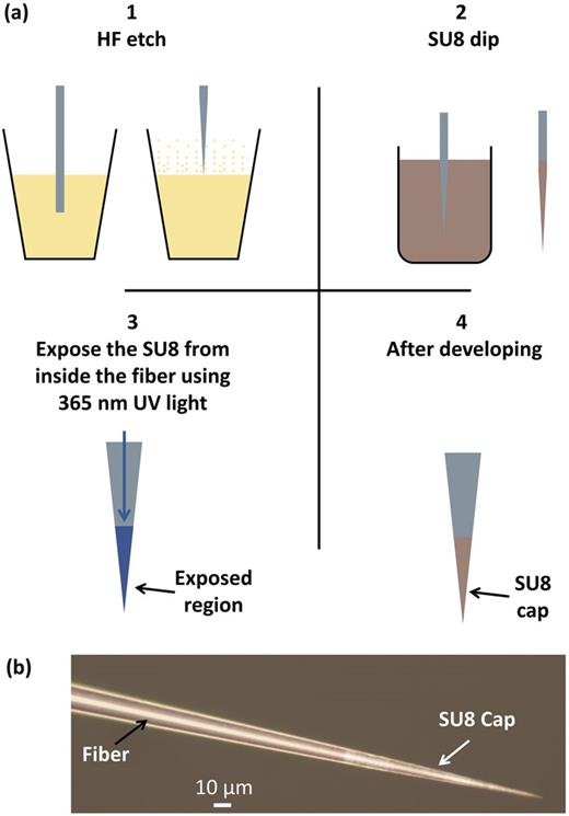 Low-loss, high-bandwidth fiber-to-chip coupling using capped adiabatic ...