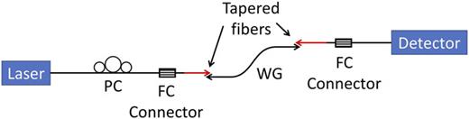 Low-loss, high-bandwidth fiber-to-chip coupling using capped adiabatic ...