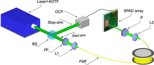Observing mode-dependent wavelength-to-time mapping in few-mode fibers ...