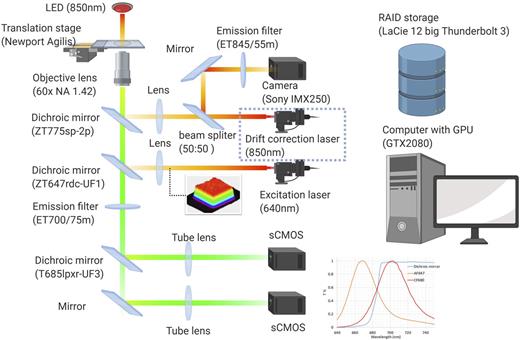 Super-resolution localization microscopy: Toward high throughput, high ...