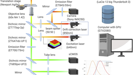 Super-resolution localization microscopy: Toward high throughput, high ...