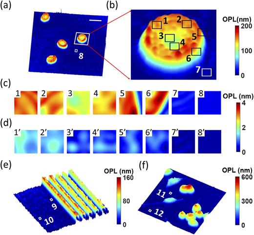Beating temporal phase sensitivity limit in off-axis interferometry ...