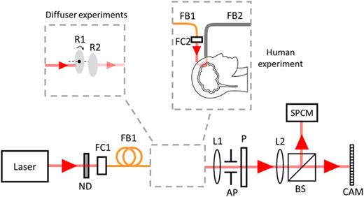 Diffusing wave spectroscopy: A unified treatment on temporal sampling ...