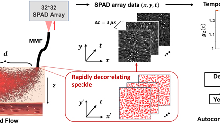 Fast and sensitive diffuse correlation spectroscopy with highly parallelized single photon ...
