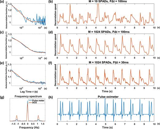 Fast and sensitive diffuse correlation spectroscopy with highly parallelized single photon ...